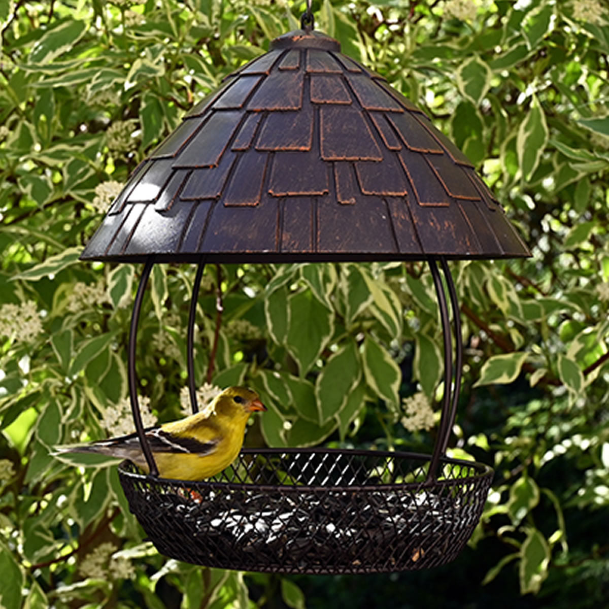 Shingled Sheltered Platform Feeder – Duncraft