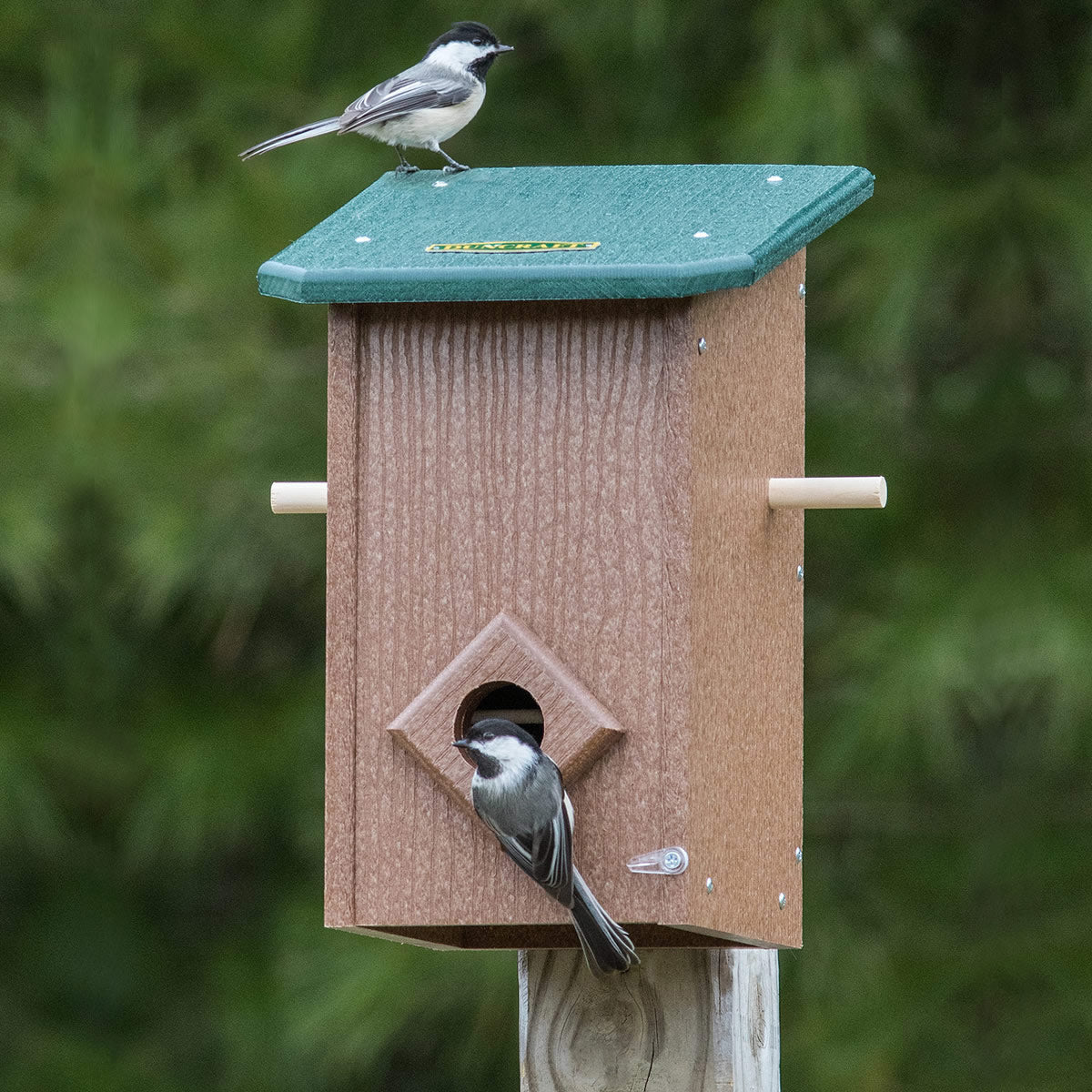 Bird Houses & Roosting Boxes | Cardinal Nesting Boxes | Duncraft