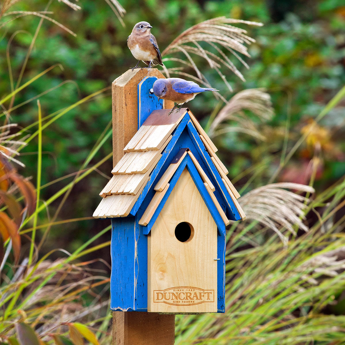 Decorative Bird Houses | Whimsical Outdoor Bird Shelters | Duncraft
