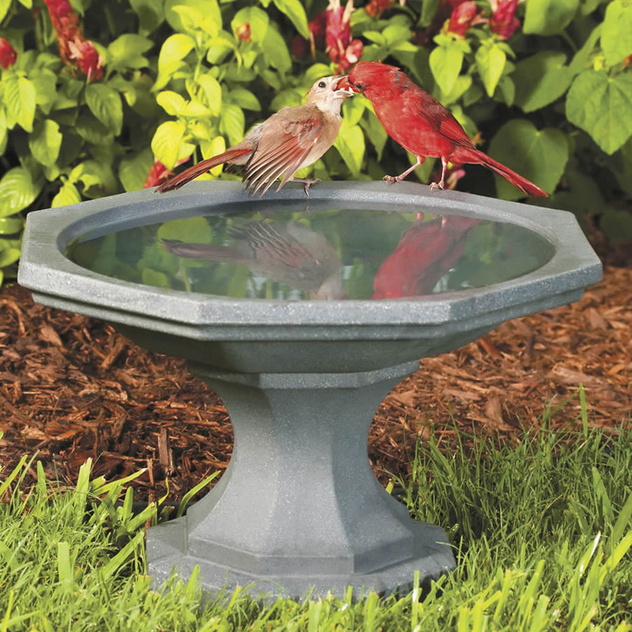 Duncraft | Bird Baths | Bird Baths Provide Fresh Water for your Birds