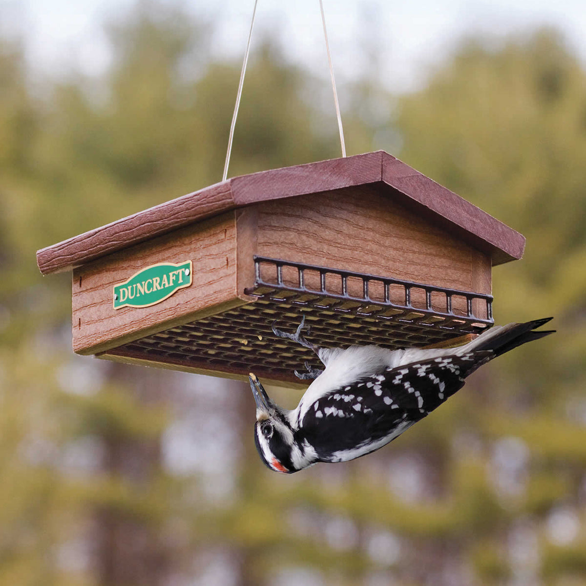 Duncraft Eco-Strong Upside Down Suet