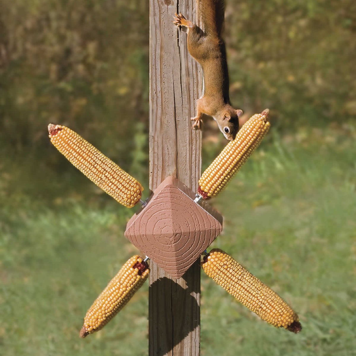 Build A Spinning Squirrel Feeder PVC Squirrel Feeder Windmill : 3