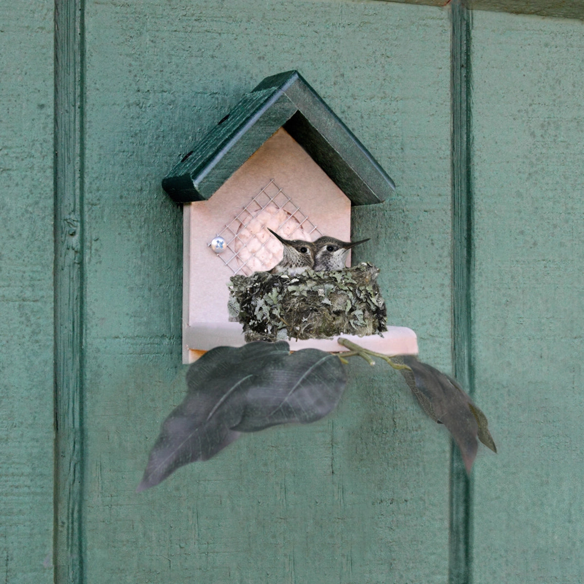 Hummingbird Spaces Tiny House