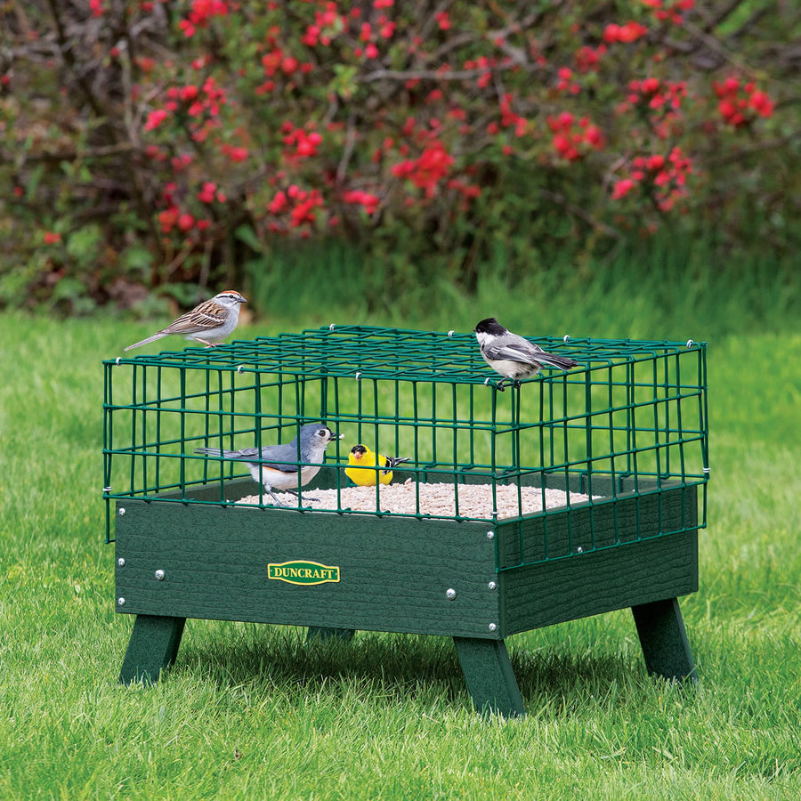 Duncraft Exclusive Bird Feeders, Houses, Seed & More