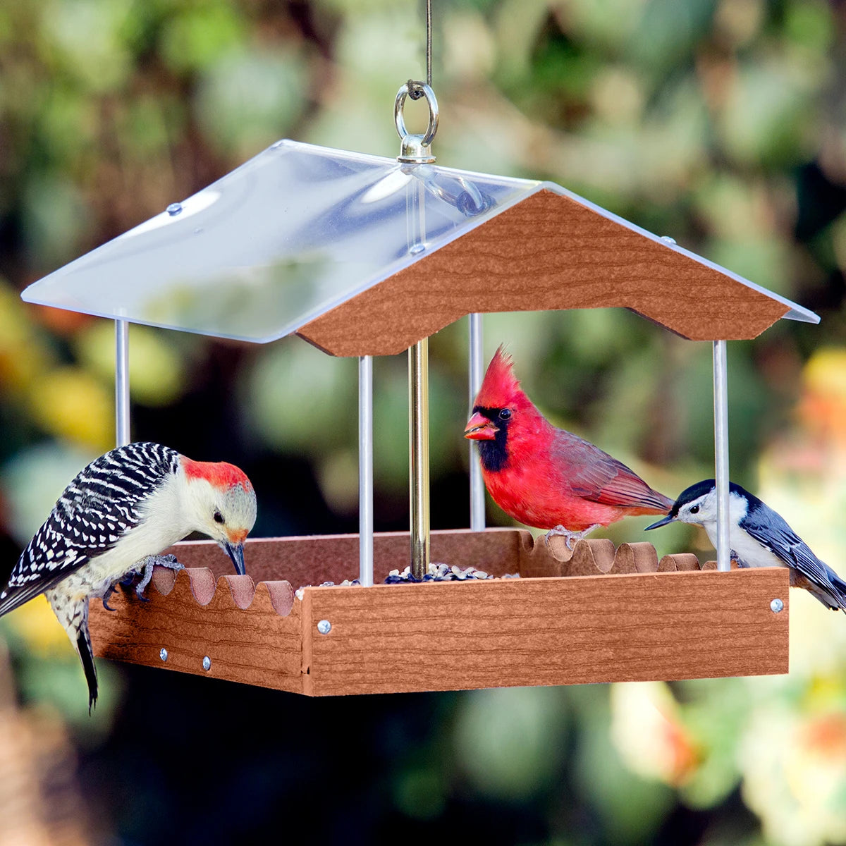 Duncraft Covered Wave Bird Feeder | Weather Roof | USA