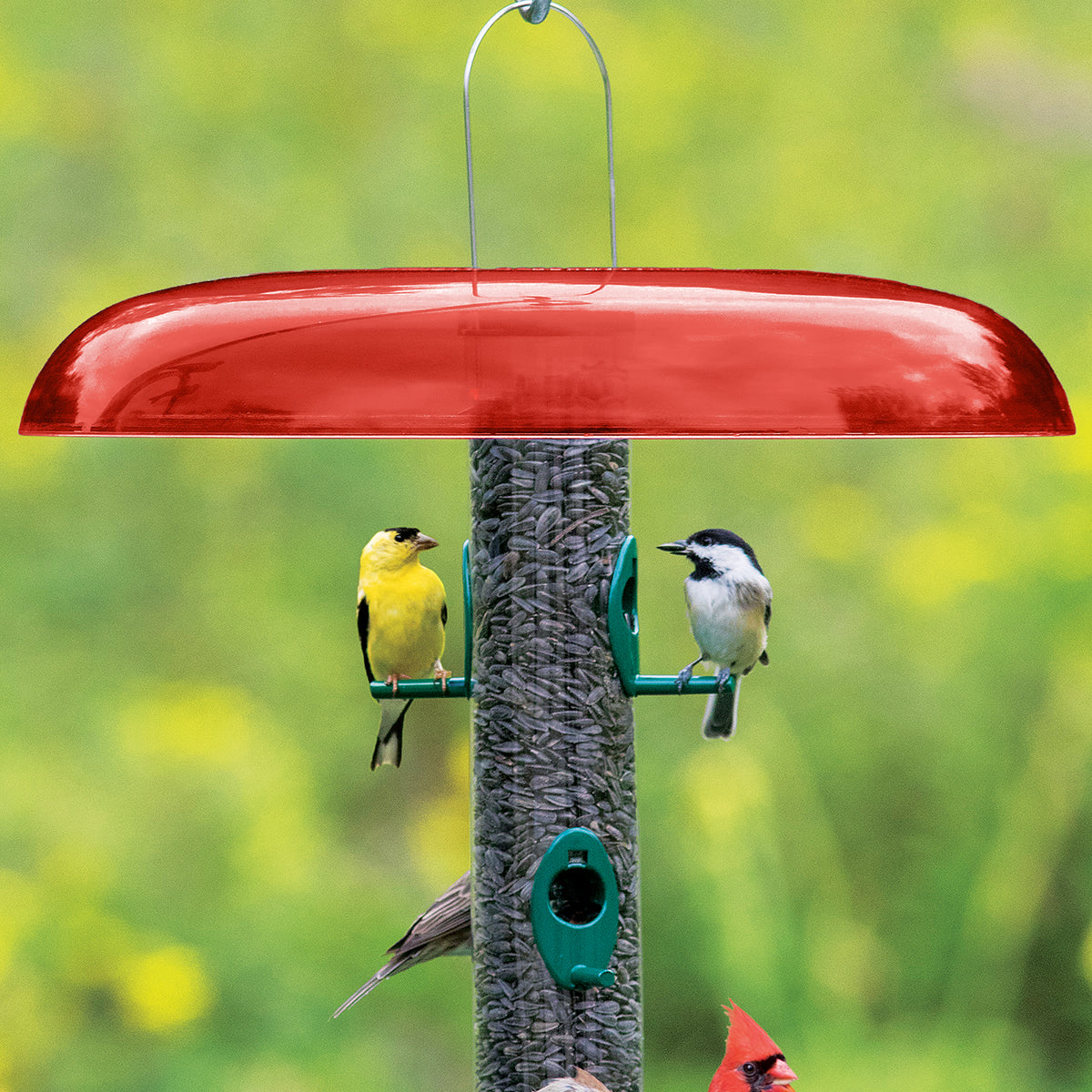 Duncraft Red Slot Weather Baffle | Protect Bird Feeders