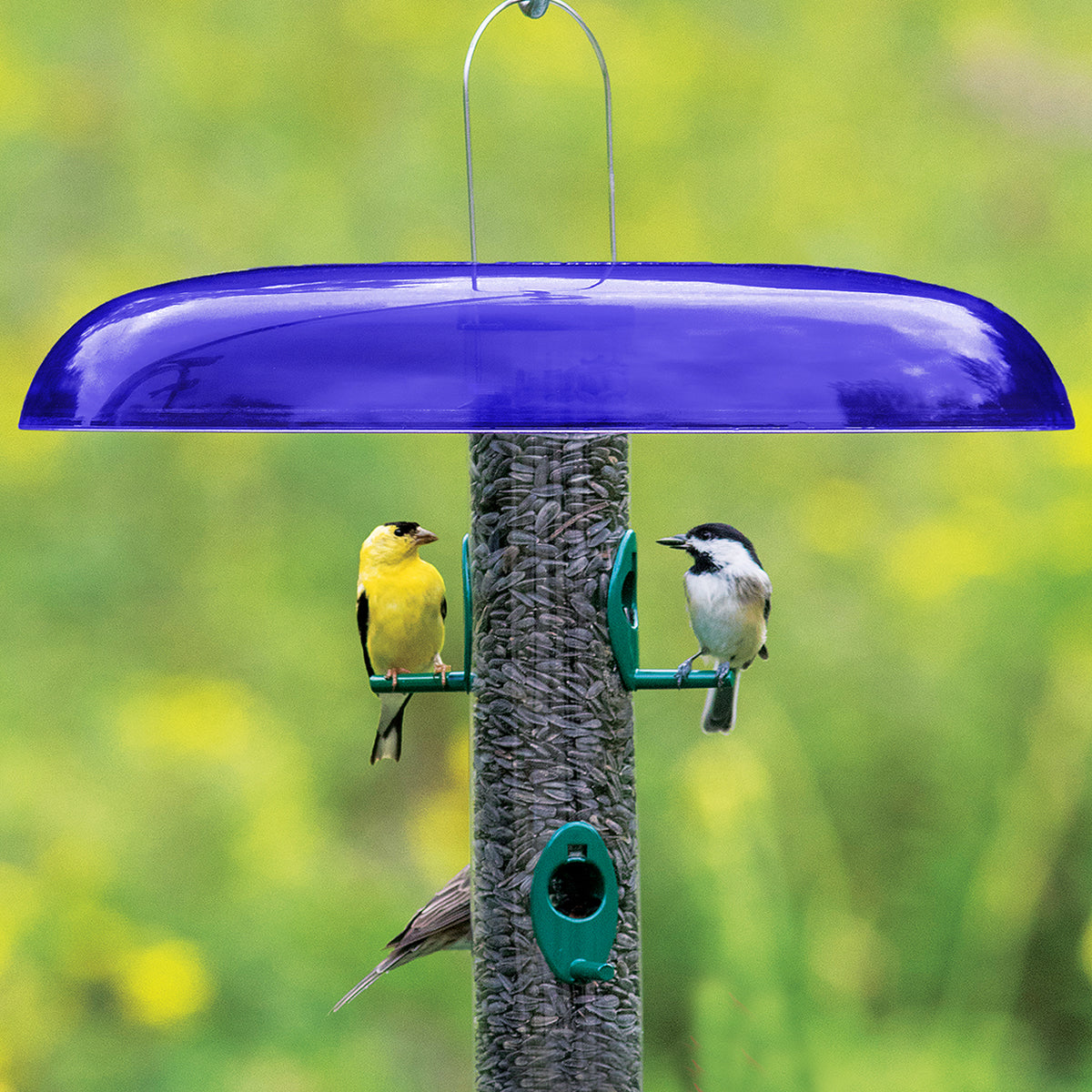Duncraft Blue Slot Weather Baffle | Protect Bird Feeders