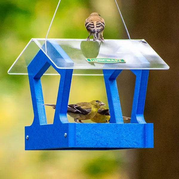 Heritage Platform Feeder Royal Blue | Made in USA | Duncraft