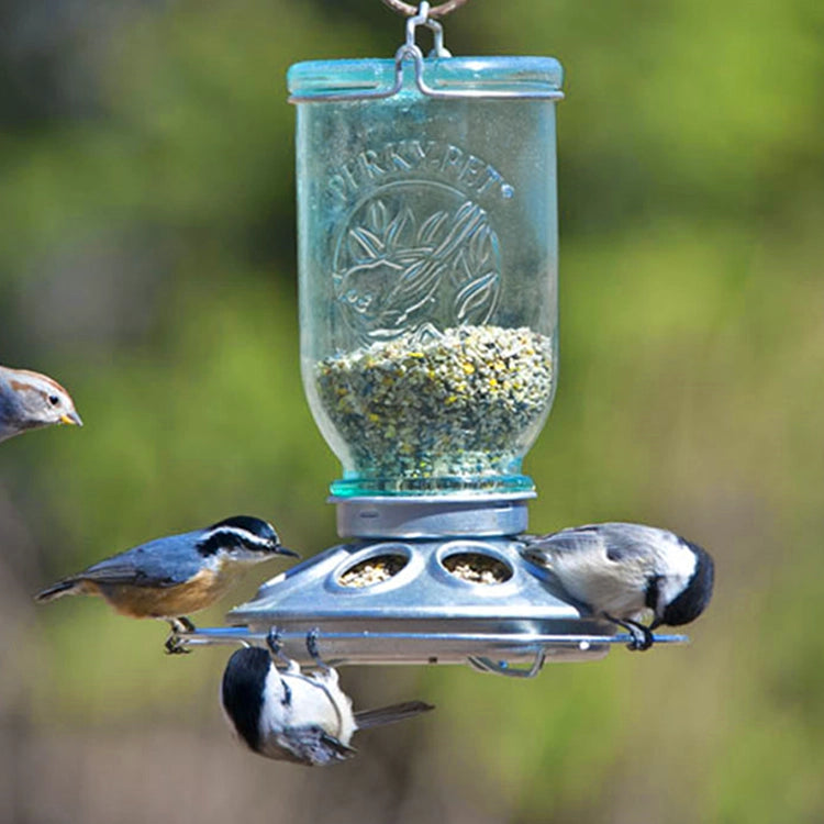 Mason Jar Wild Bird Feeder – Duncraft
