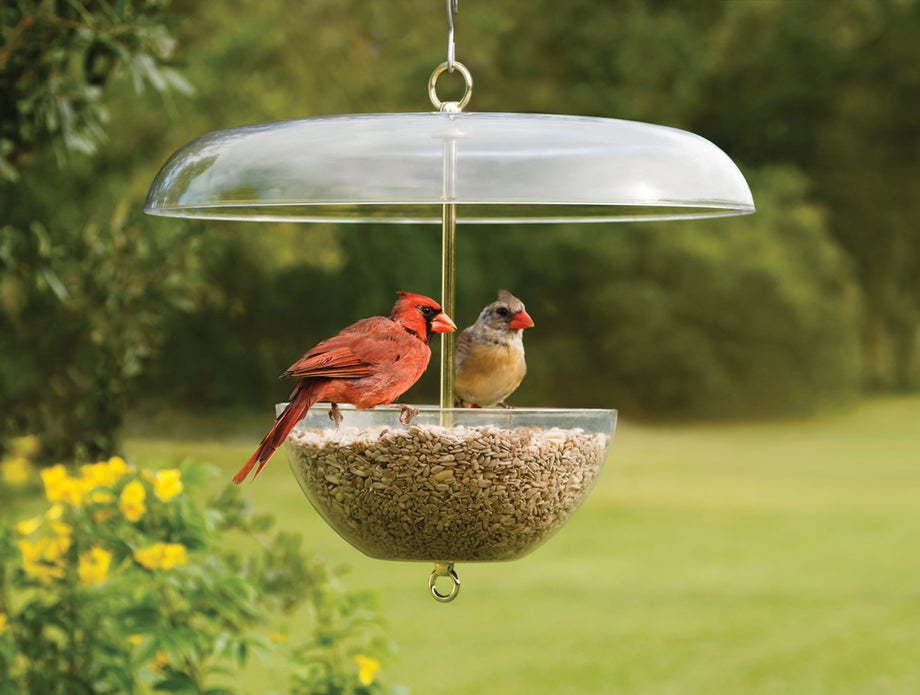 Platform Feeders | Fly Through Bird Feeders | Tray Bird Feeders ...