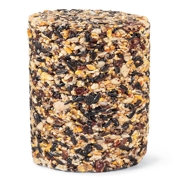 Bird Seed Blocks, Cakes & Bars | Best Long-Lasting Bird Food at ...