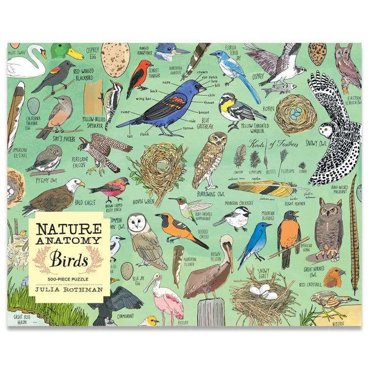 Julia Rothman Birds 500-Piece Puzzle | Nature Anatomy Art – Duncraft