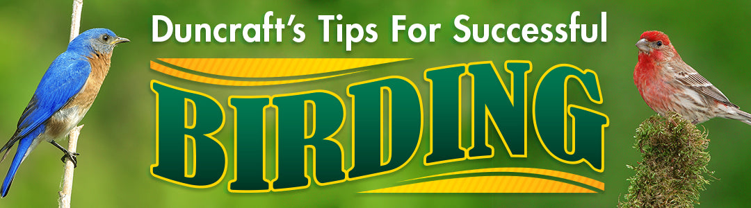 Backyard Birding Tips to Attract, Feed, and Care for Birds | Duncraft