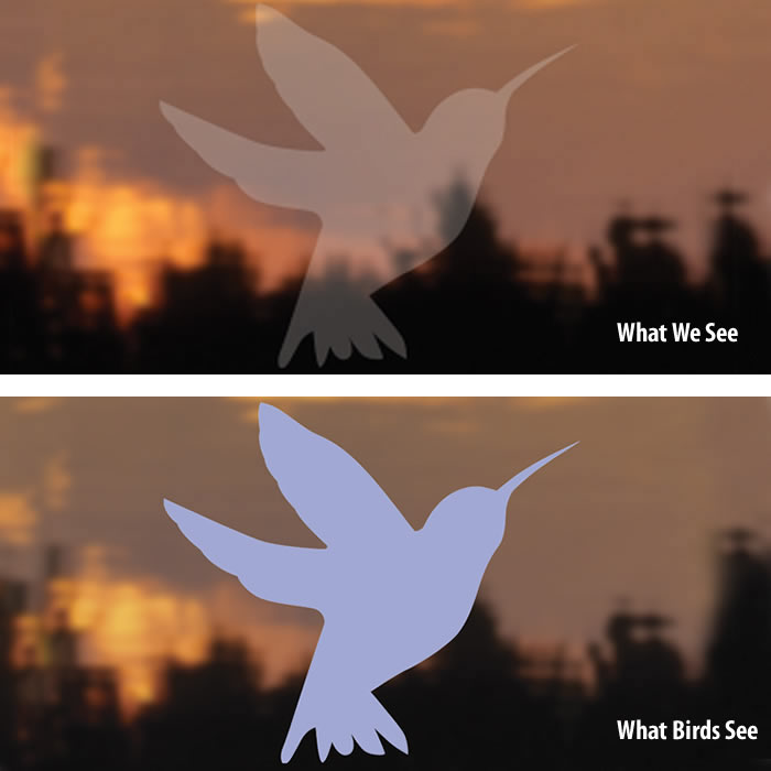 Duncraft Bird Safe Hummingbird Window Decals