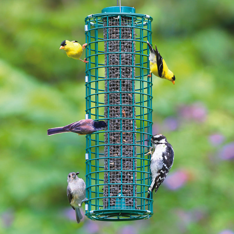 Duncraft Exclusive Bird Feeders, Houses, Seed & More